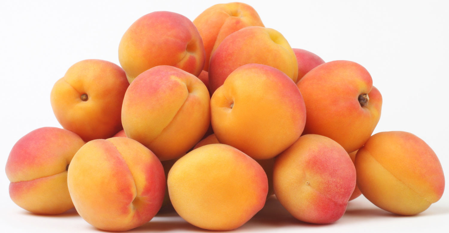 Aprikose • Markant